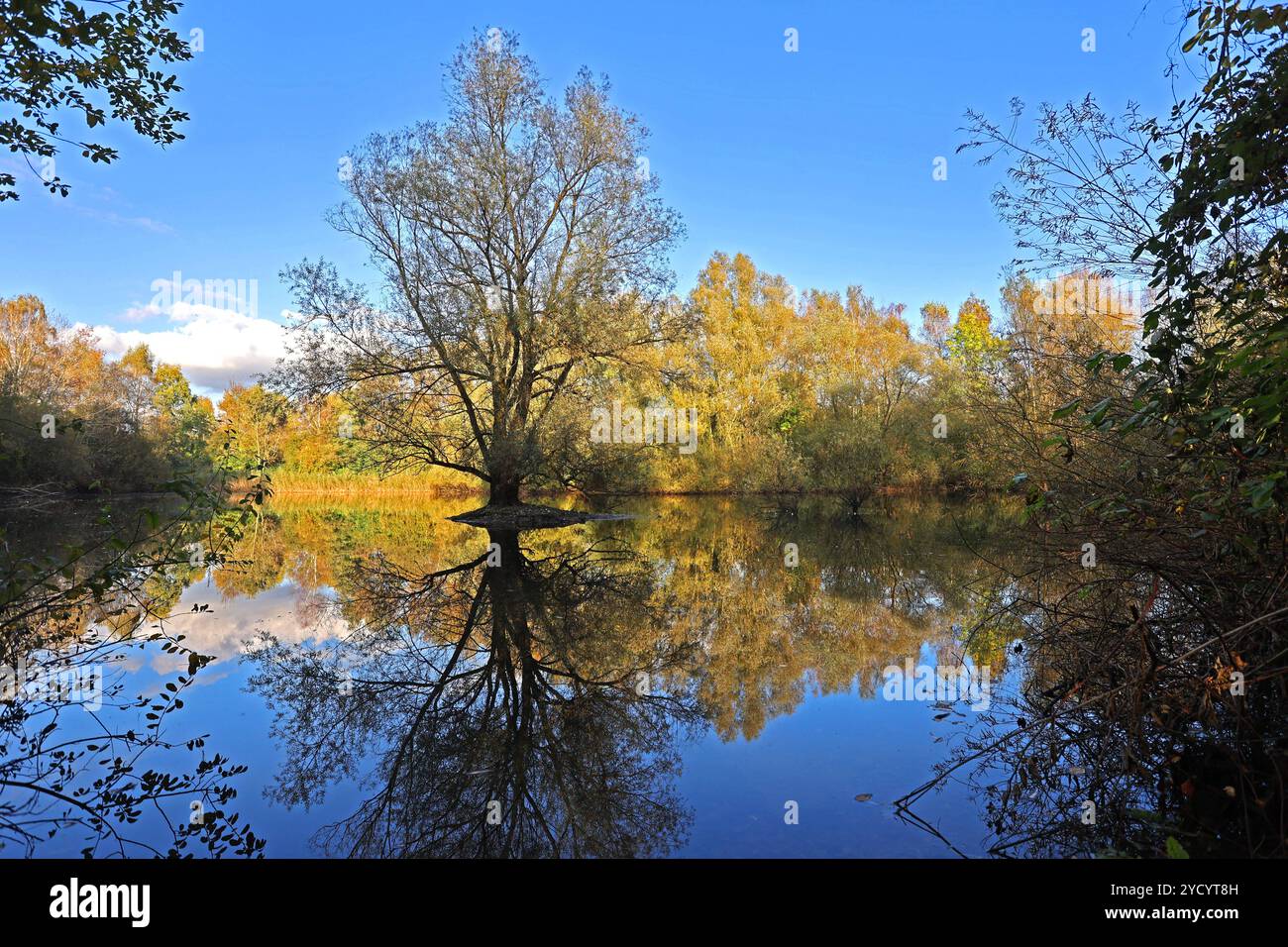 Die Ruhr als Namensgeber einer Region Die Ruhr ist ein 219,3 Kilometer ...