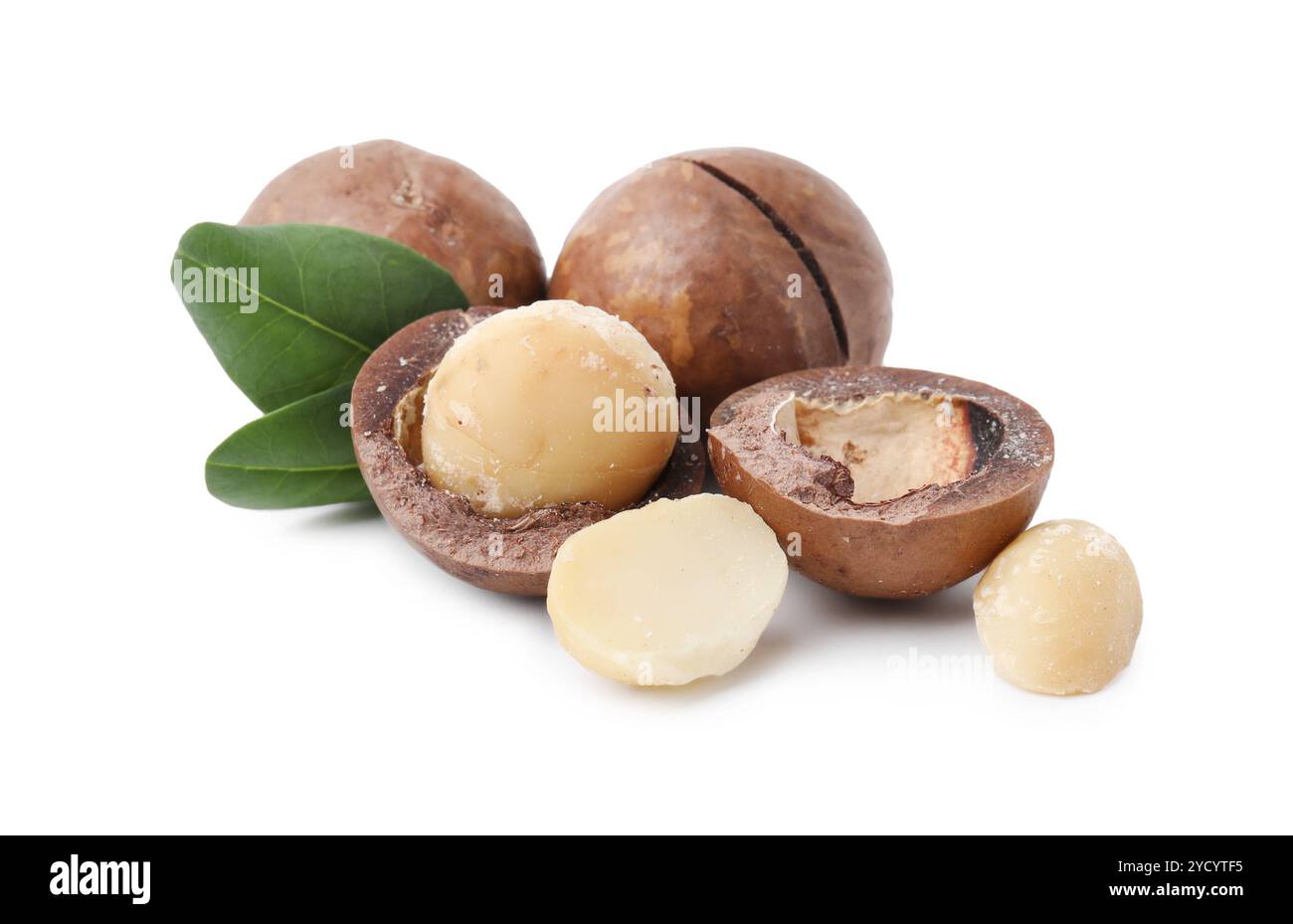 Macadamia nuts with shells isolated on white Stock Photo - Alamy