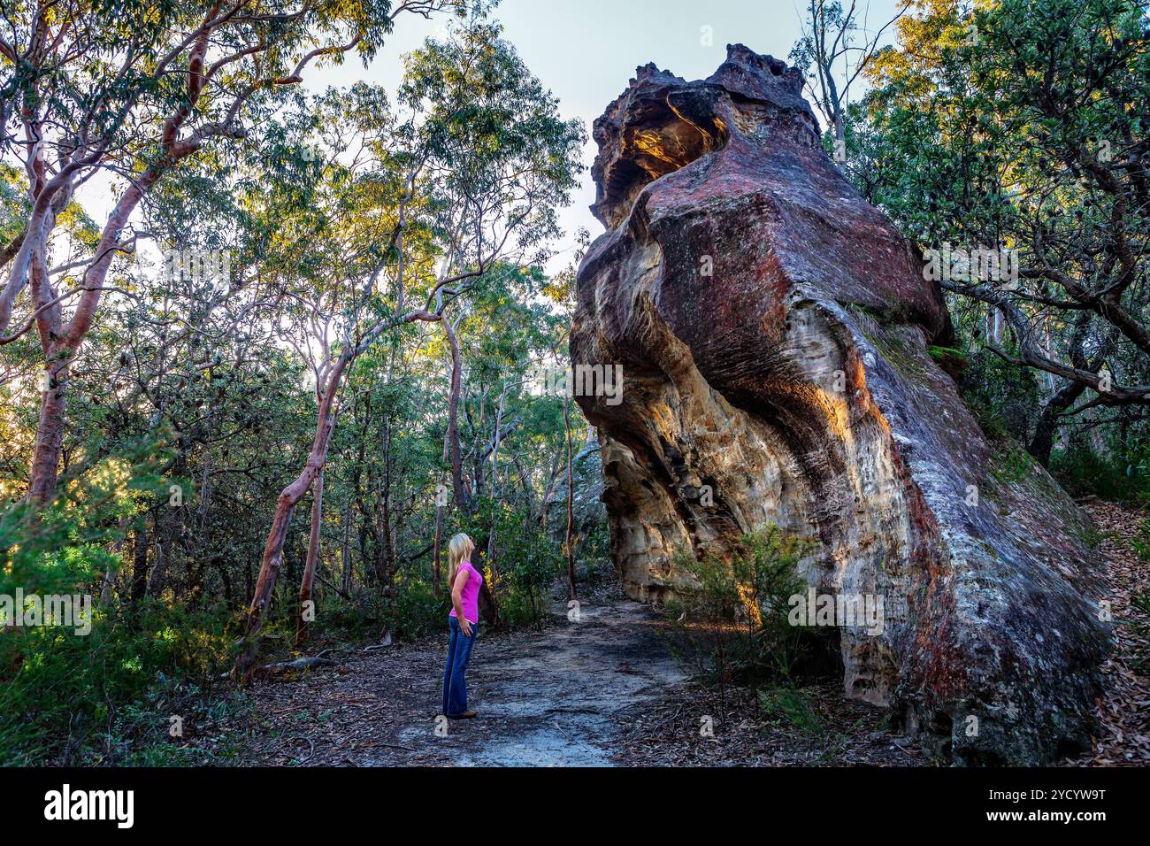 Bushwalker exploring national park wilderness Stock Photo - Alamy