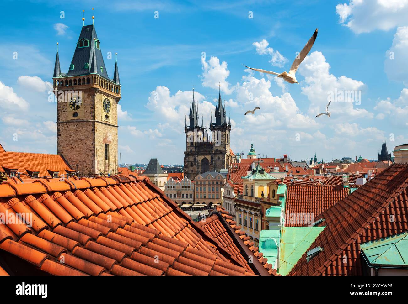 Square birds hi-res stock photography and images - Alamy