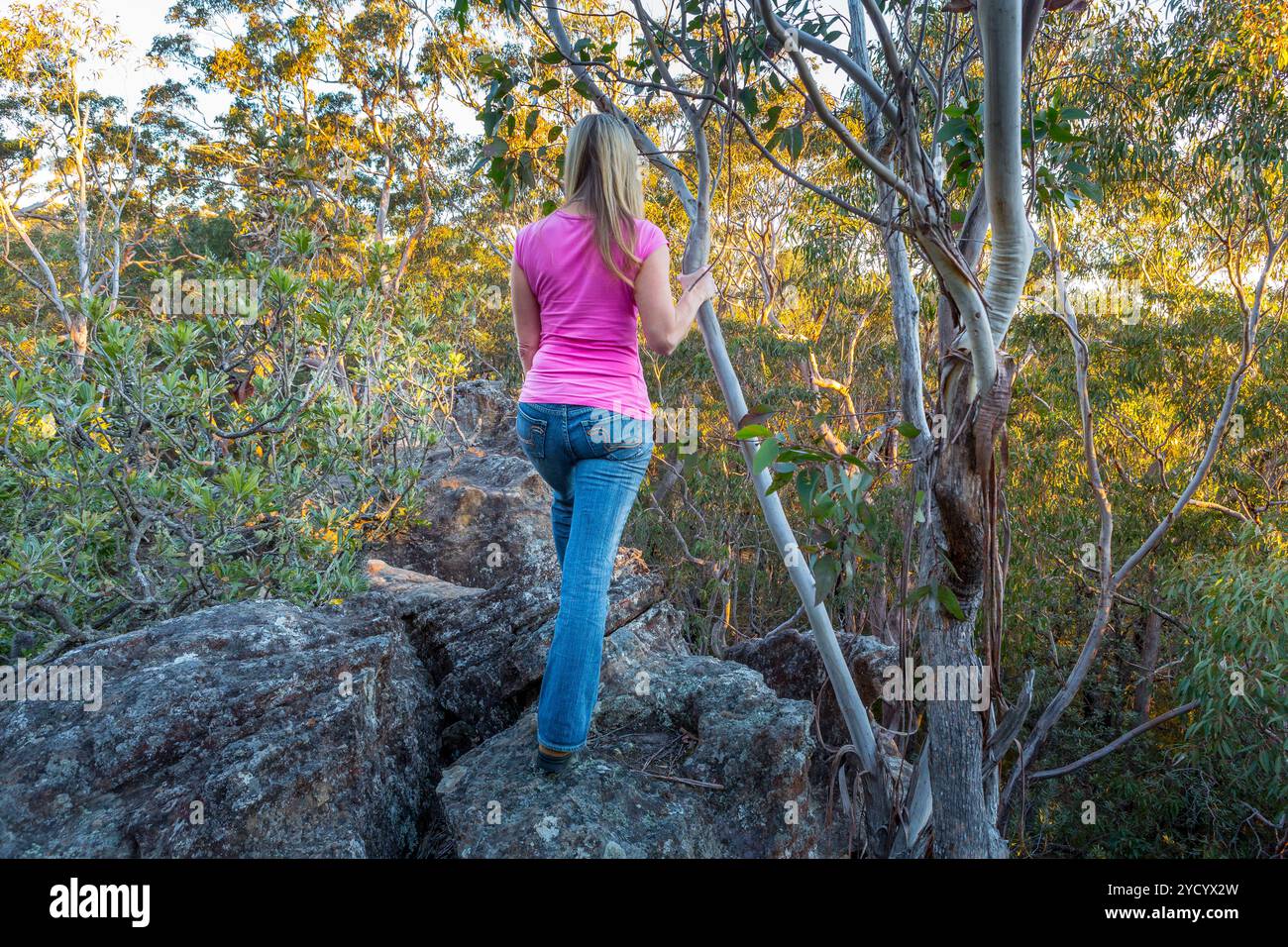 Standing on a protruding rock ledge high up in the tree canopy looking ...