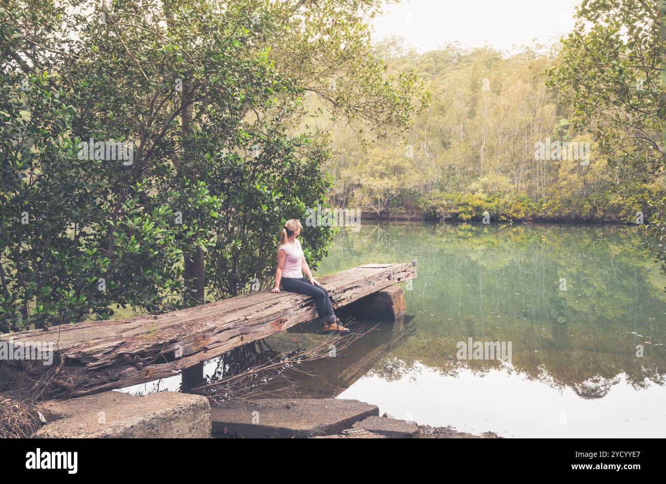 Large australian trees hi-res stock photography and images - Alamy