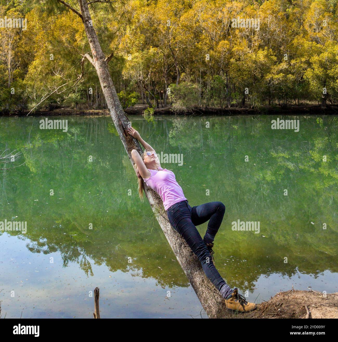 Leaning back on casuarina tree arching out over the remote bushland ...