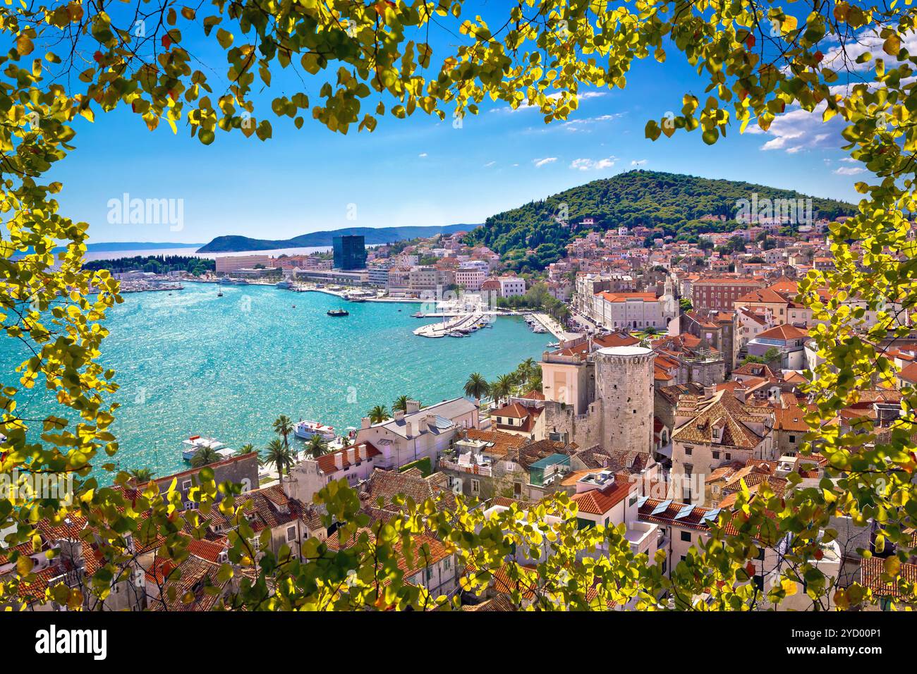 Split bay aerial view through tree leaves lazer Stock Photo - Alamy