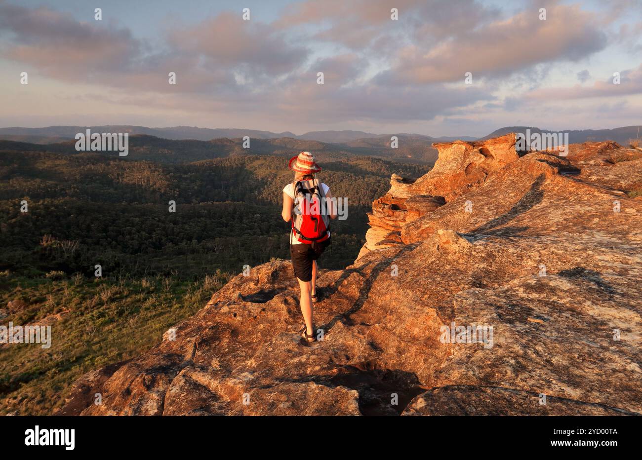 Wilderness bushwalking hi-res stock photography and images - Alamy