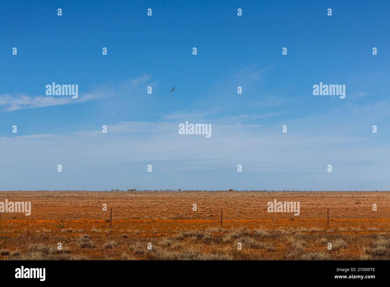 Australian outback a harsh desolate and dry area with red soils rich in ...