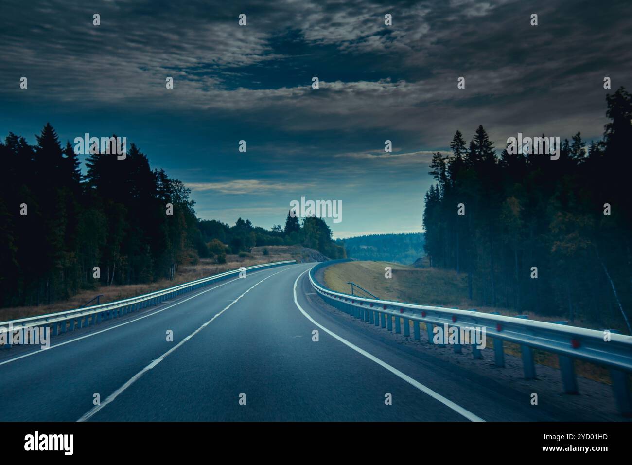 Asphalt roads in forest hi-res stock photography and images - Alamy