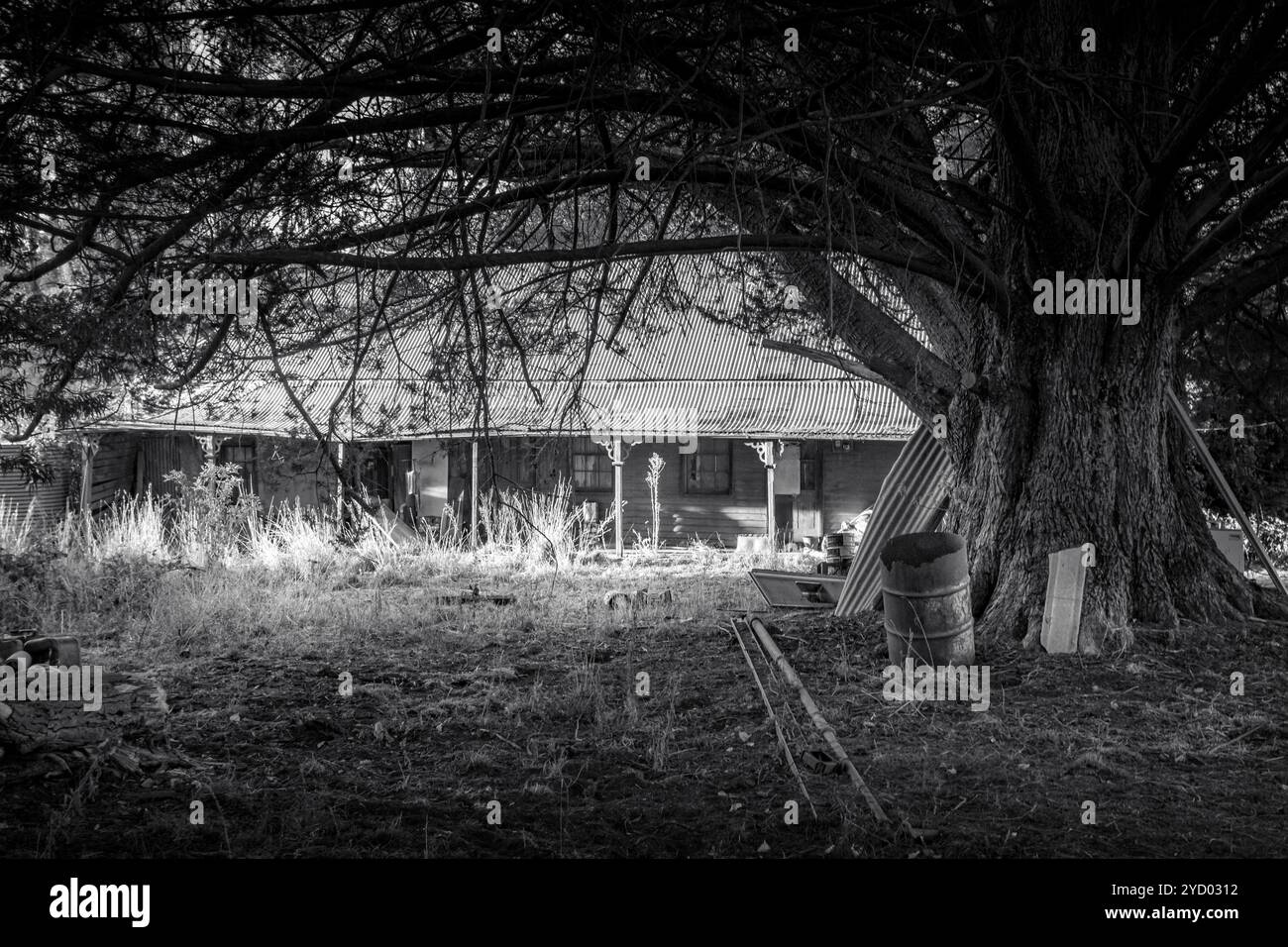 Abandoned old Australian homestead Stock Photo - Alamy