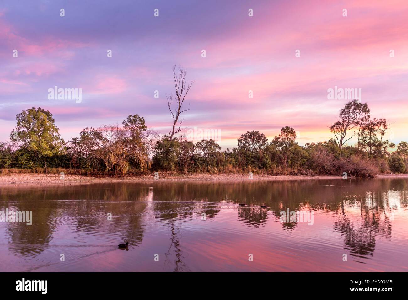 Swimming lake reflections clouds in hi-res stock photography and images ...