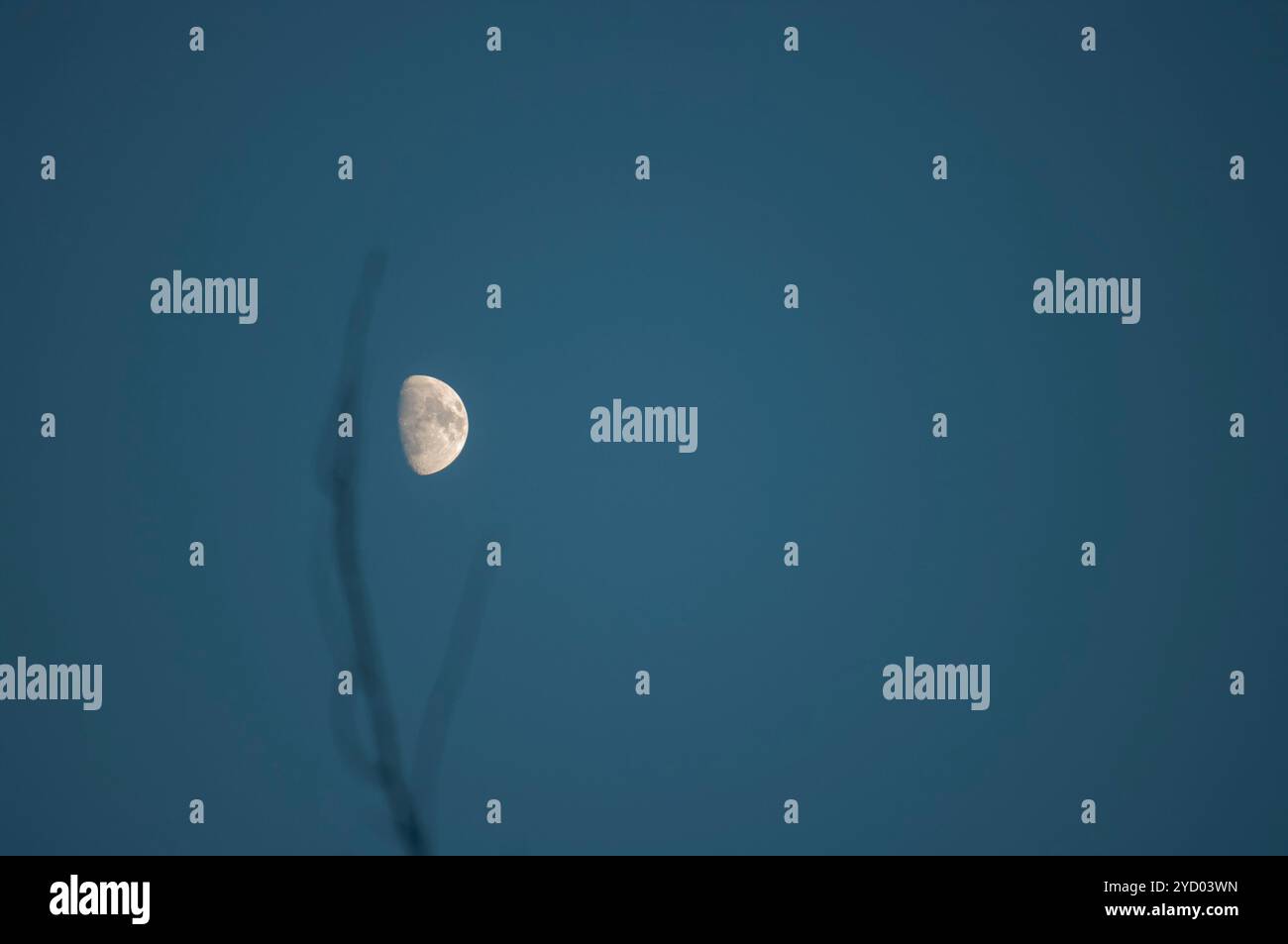 Crescent moon on a cold autumn night Stock Photo - Alamy