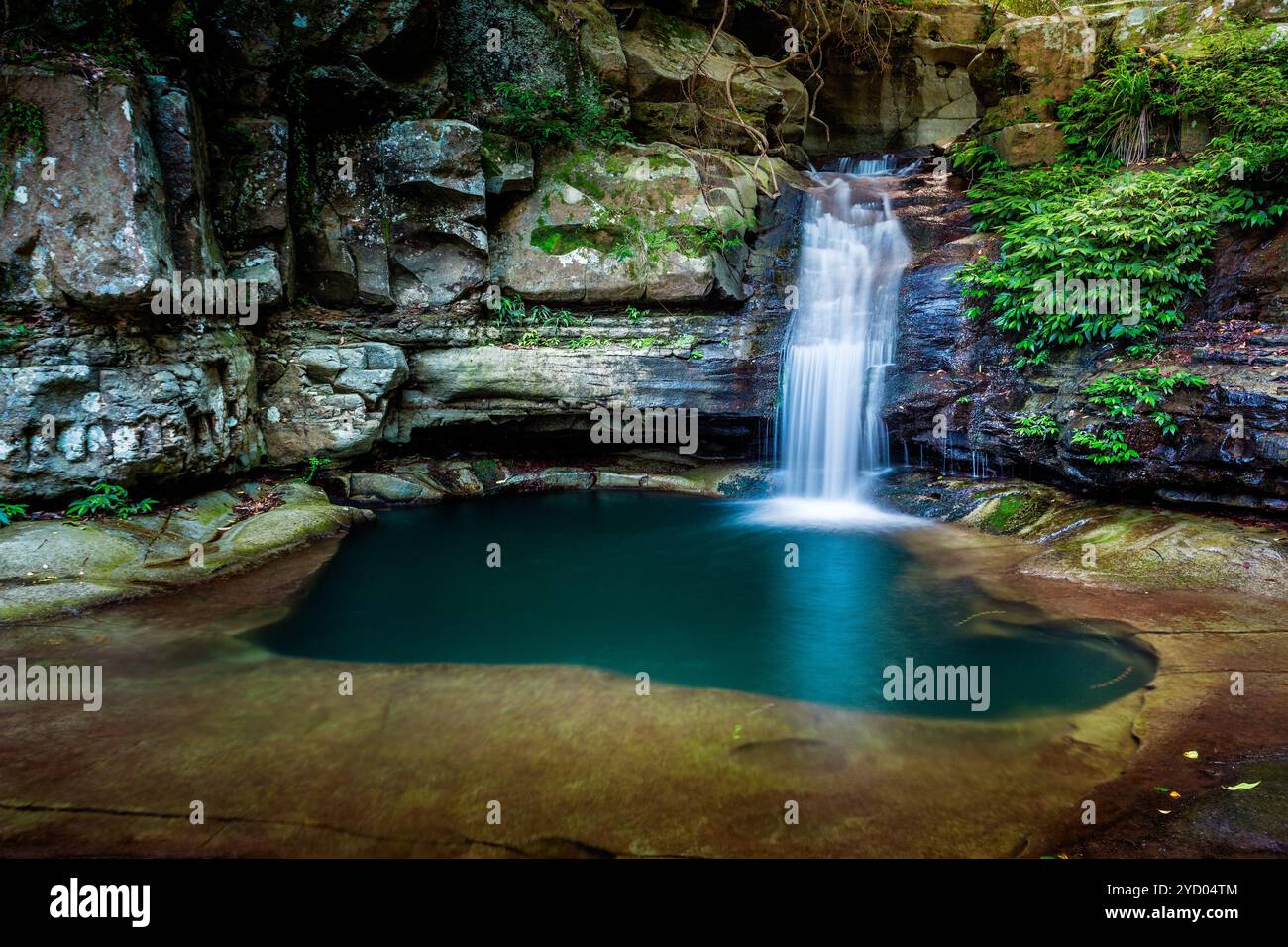 Waterfall into a rock pool deep in the wilderness Stock Photo - Alamy
