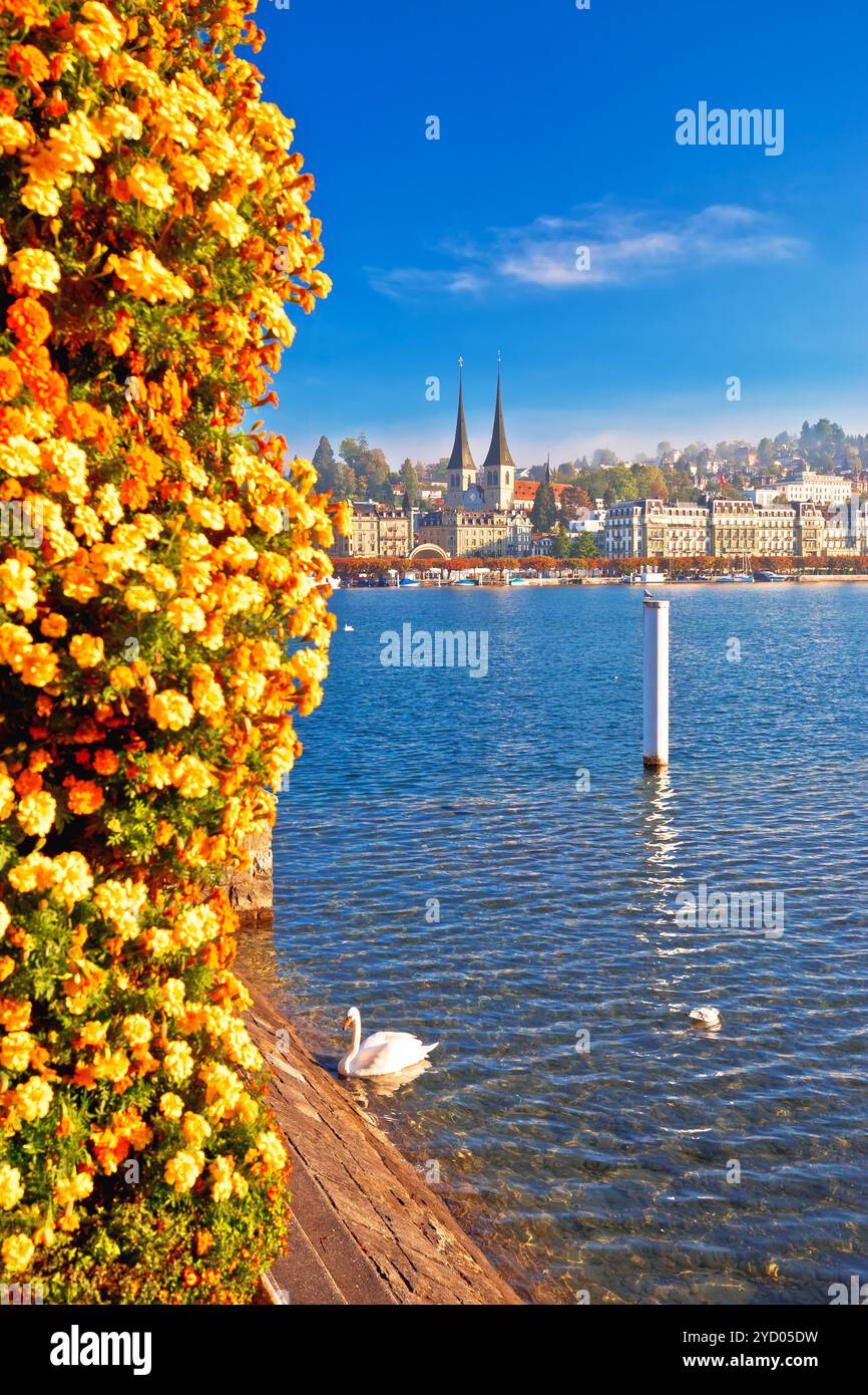 Colorful lake Luzern and town waterfront view Stock Photo - Alamy