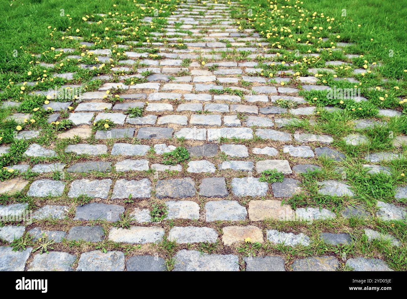 Scenic cobblestone road green grass hi-res stock photography and images ...