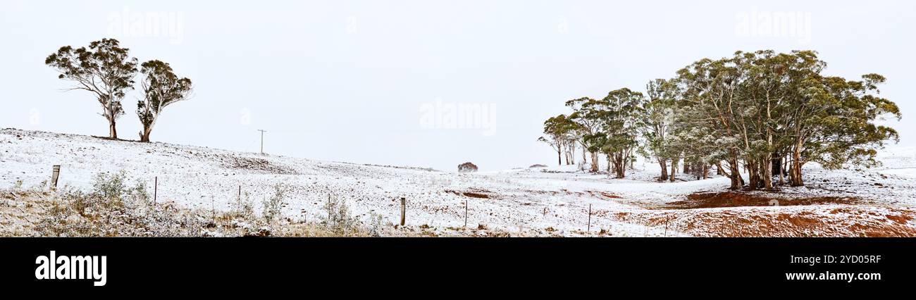 Australia nsw snow highlands hi-res stock photography and images - Alamy