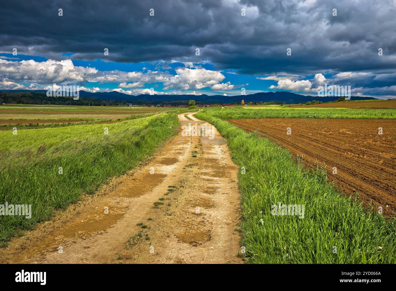 Beautiful view dirt road hi-res stock photography and images - Alamy