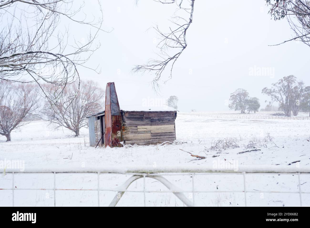 Ramshackle rustic timber shack with metal chimney of rusting red ...