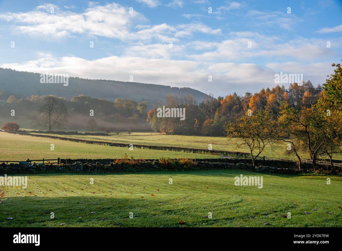 Autumn morning in Bilsdale, North Yorkshire, UK Stock Photo - Alamy