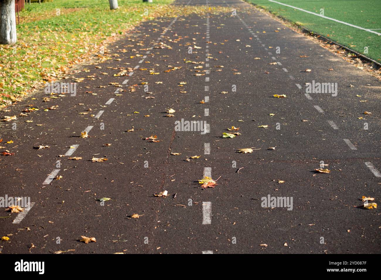 Track and wide hi-res stock photography and images - Alamy