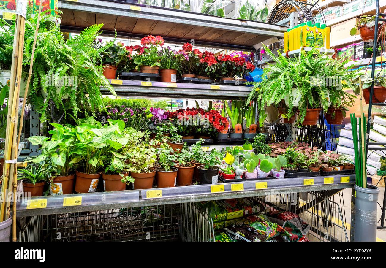 Plants for selling hi-res stock photography and images - Alamy
