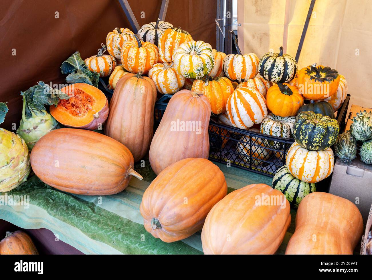 Agriculture farming fresh colorful hi-res stock photography and images ...