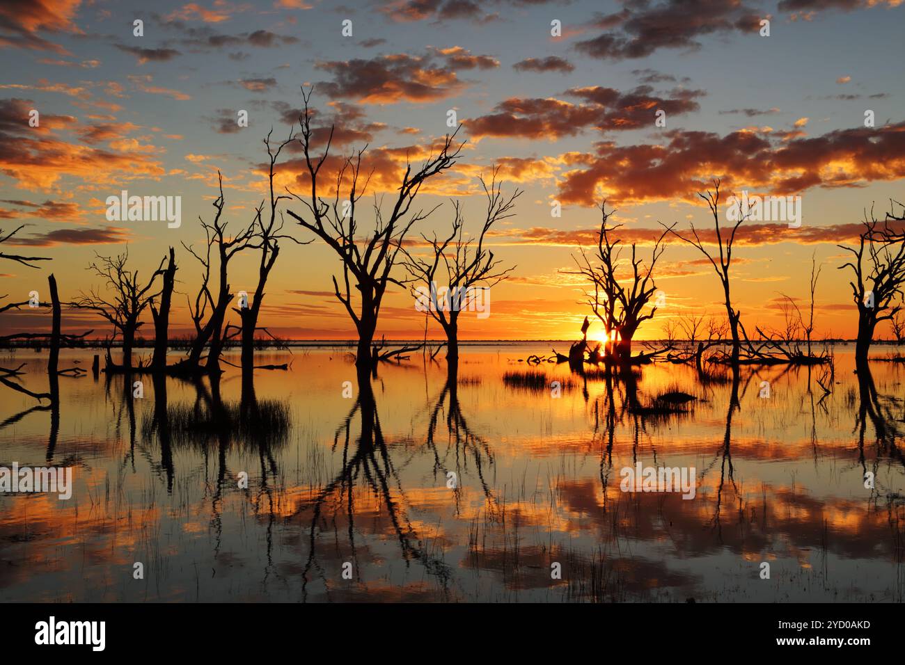 Outback sunset painting hi-res stock photography and images - Alamy