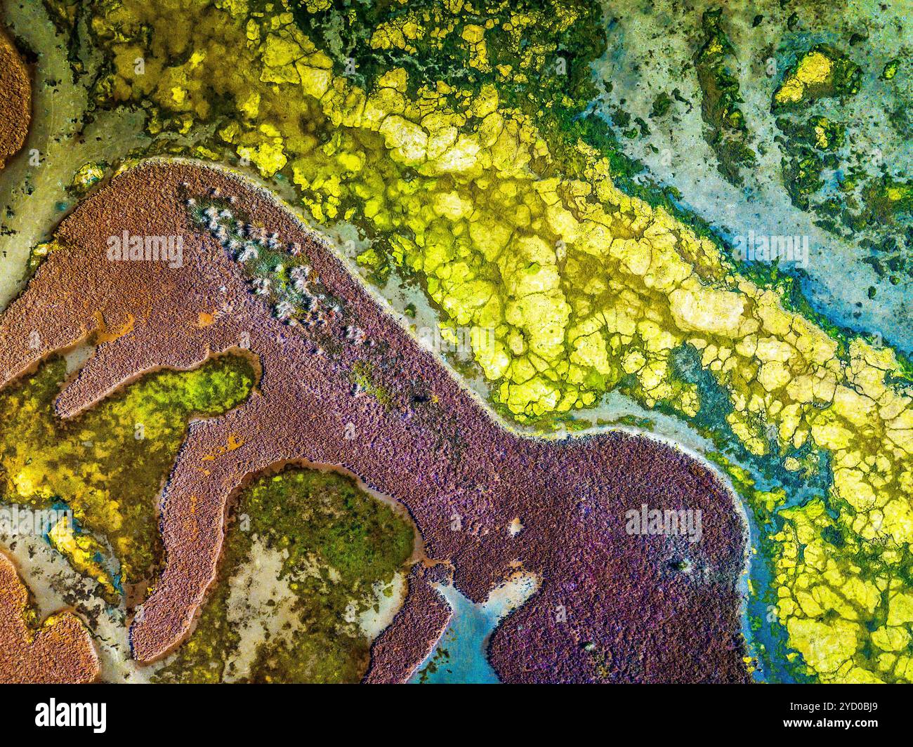 Nangudga lake hi-res stock photography and images - Alamy