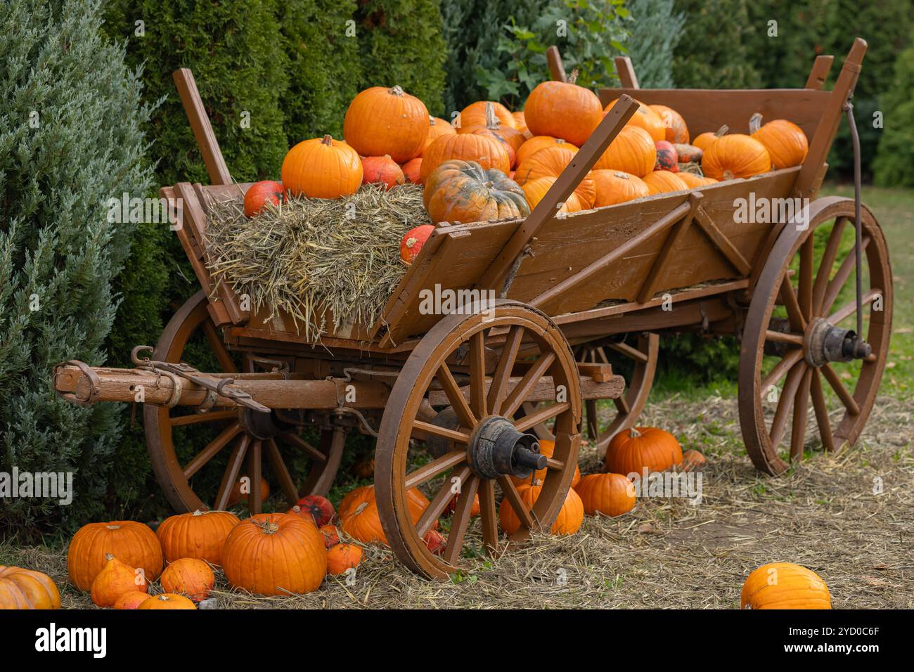 Old wagon autumn decorations hi-res stock photography and images - Alamy