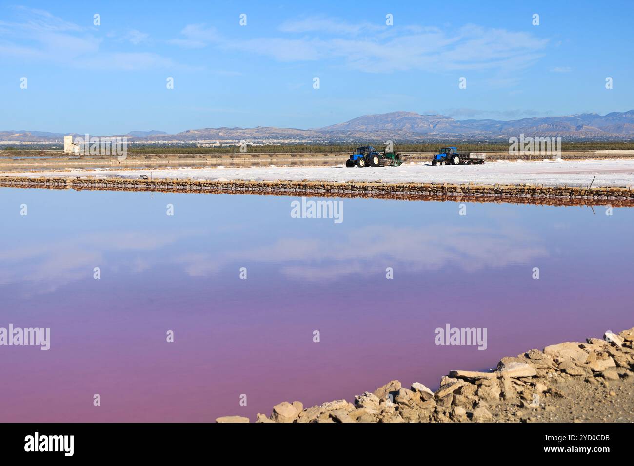 Retaining dikes in the pink lagoon of the Saltworks of the natural park ...