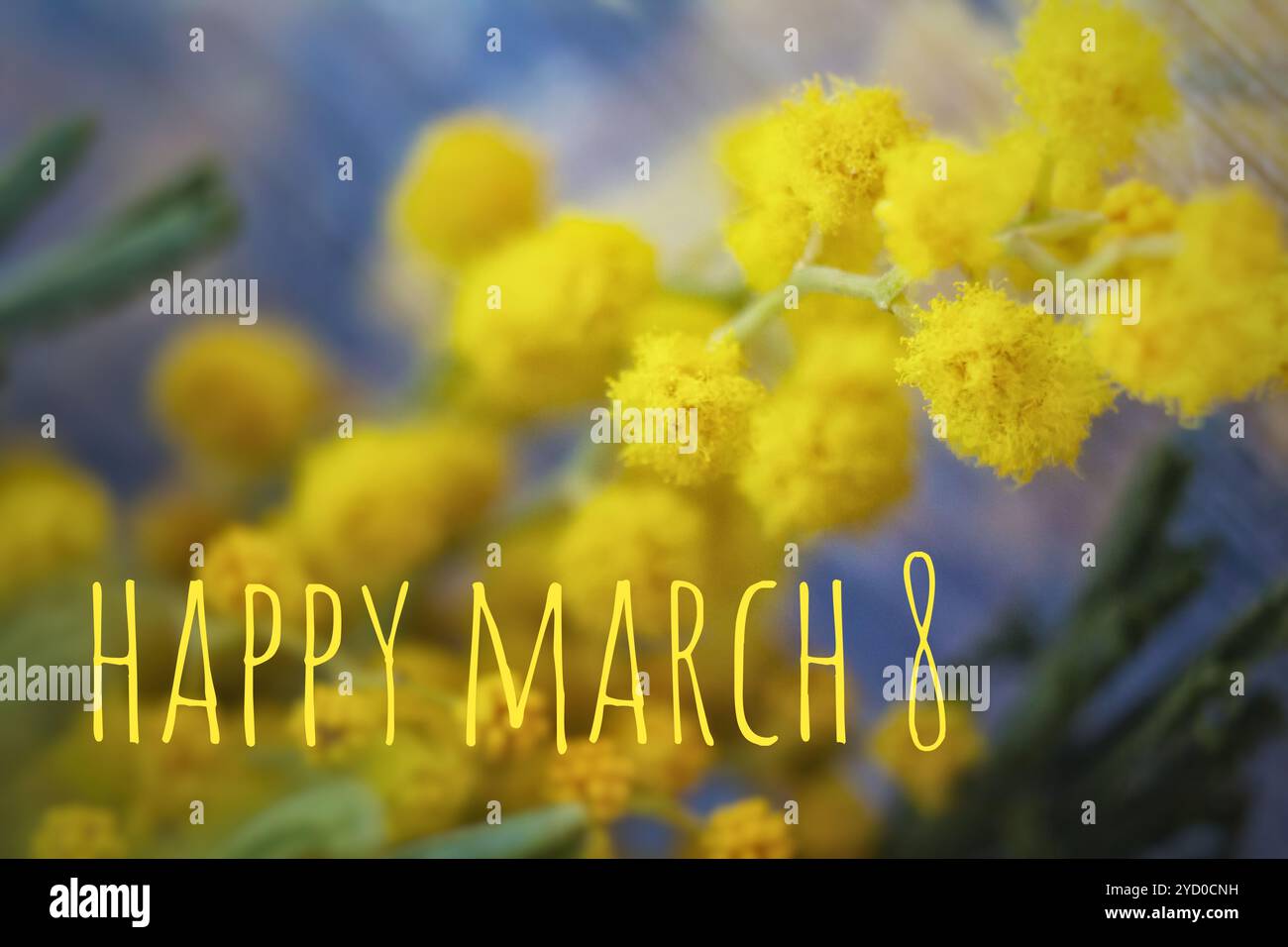 Postcard on March 8. Congratulations on the feast of women. Photos with ...