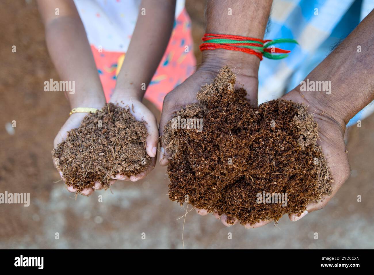 A family joins together with hands full of rich, natural coco peat ...