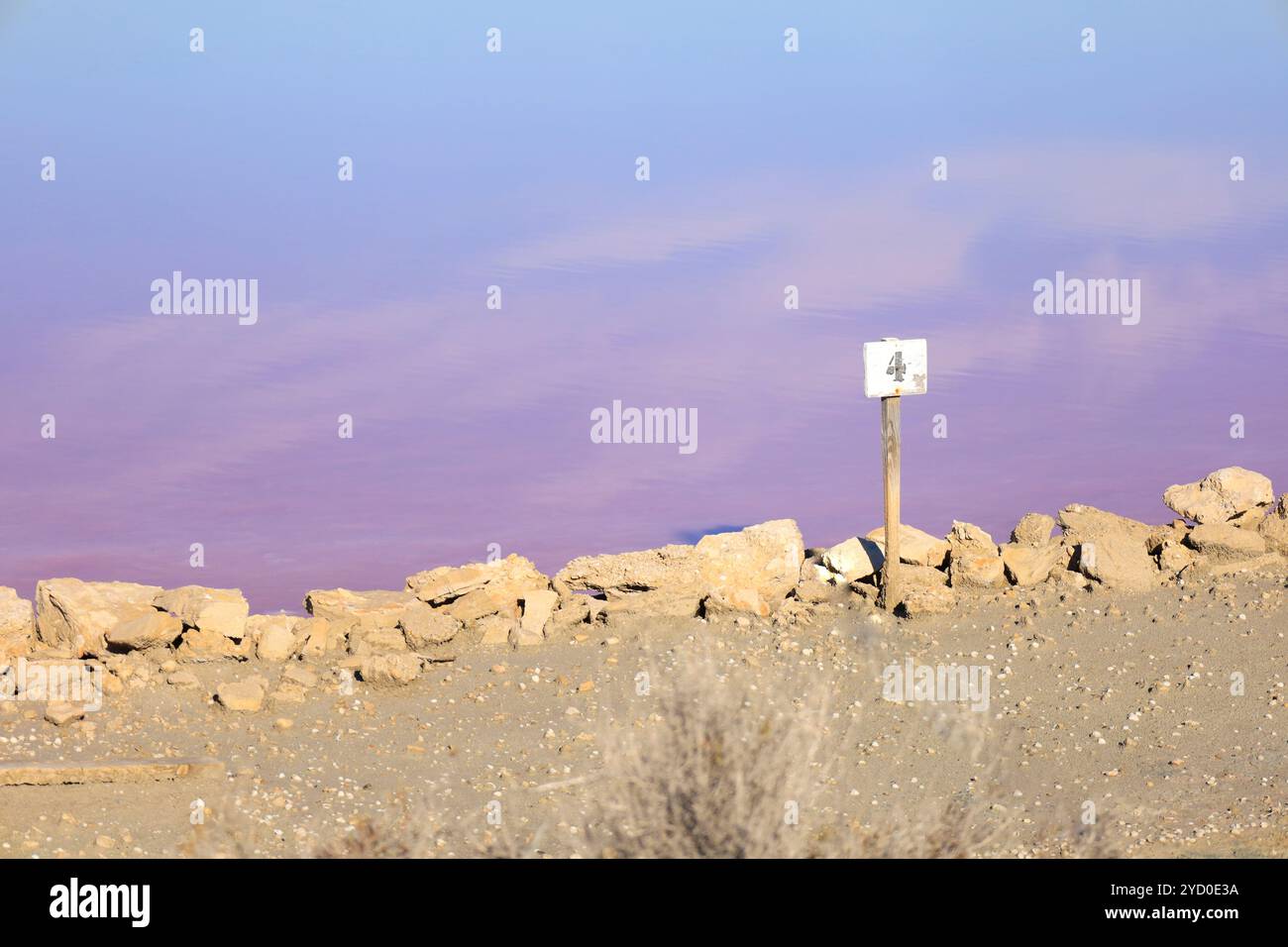 Retaining dikes in the pink lagoon of the Saltworks of the natural park ...