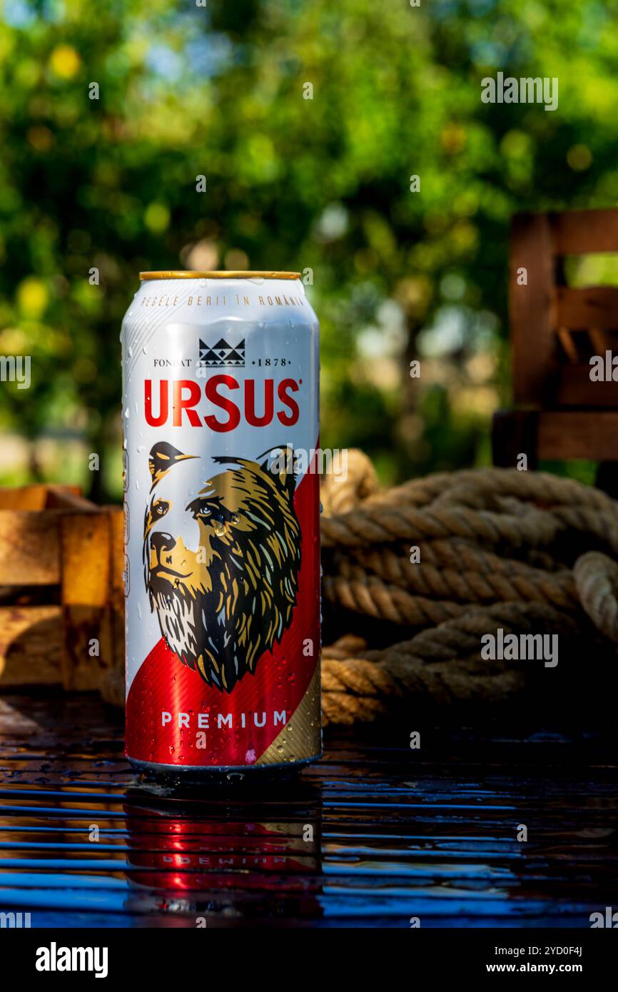 Ursus beer can - condensation water droplets, outdoors background Stock ...