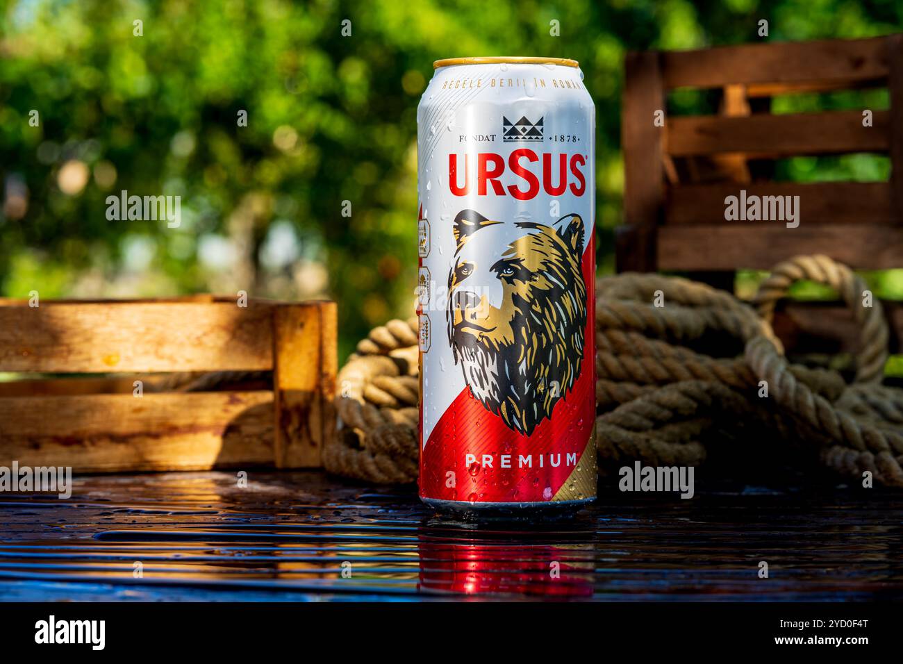 Ursus beer can - condensation water droplets, outdoors background Stock ...