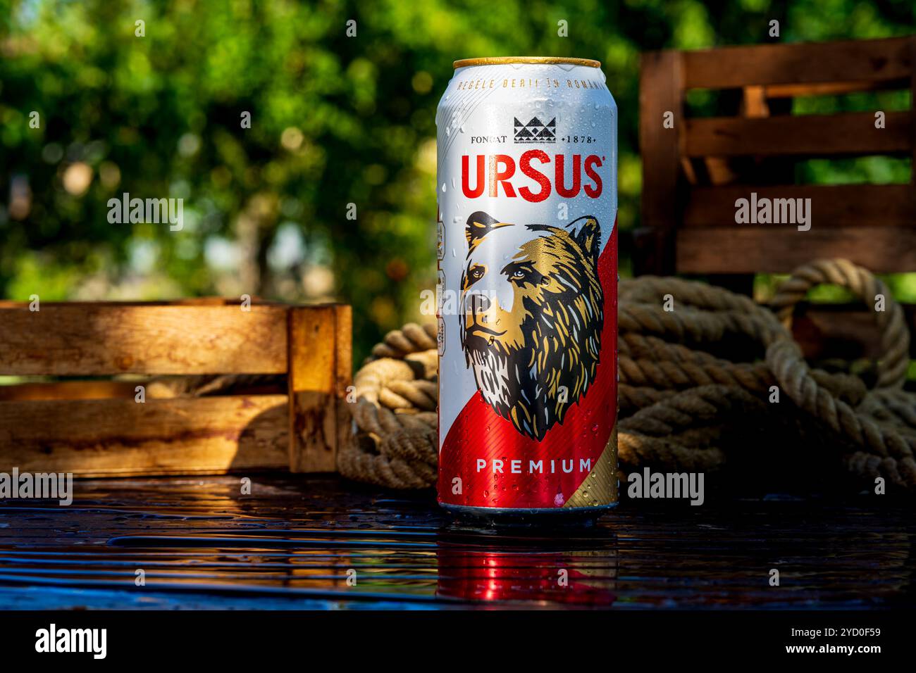 Ursus beer can - condensation water droplets, outdoors background Stock ...