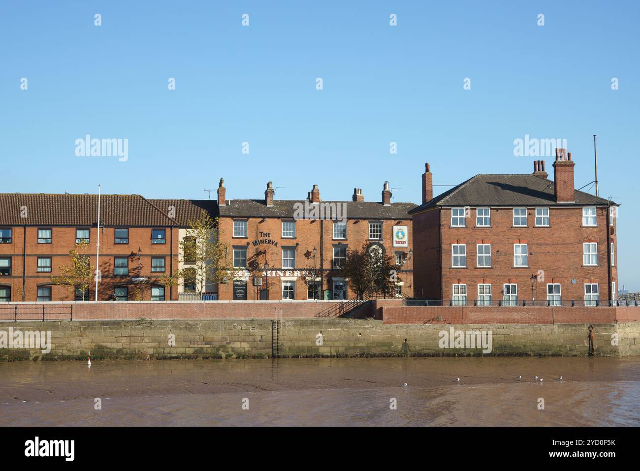 The Minerva terrace on Nelson St. Hull Marina, Hull, East Yorkshire, UK ...