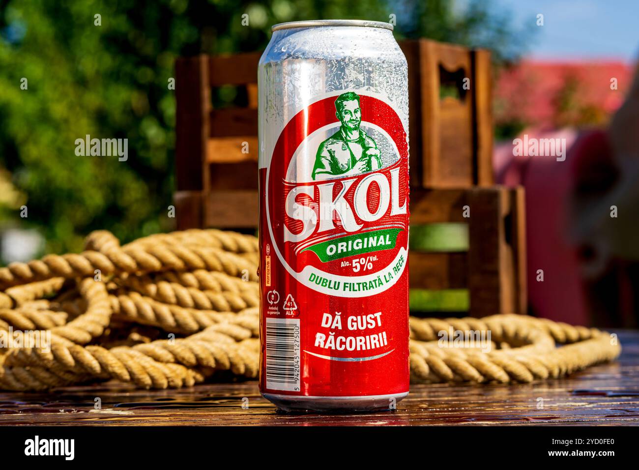 SKOL beer can - condensation water droplets, outdoors background Stock ...