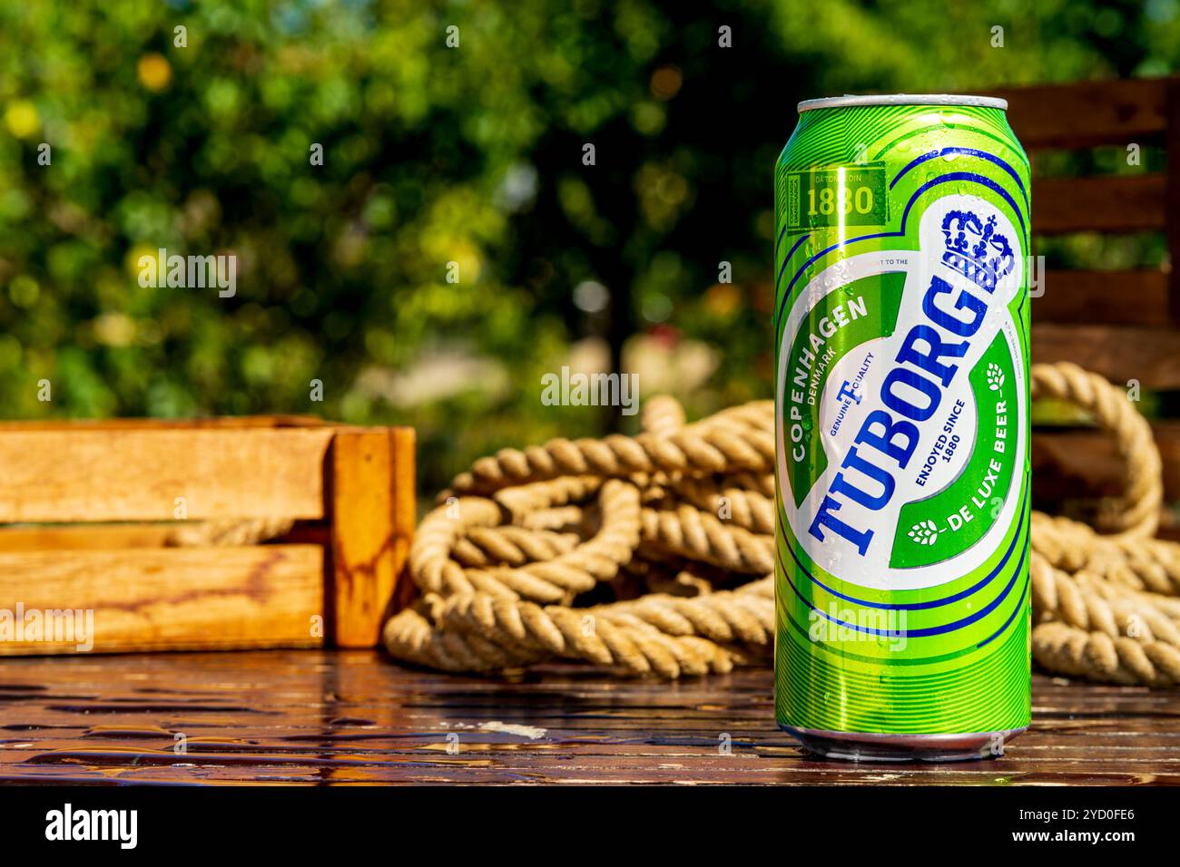 Tuborg beer can - condensation water droplets, outdoors background ...
