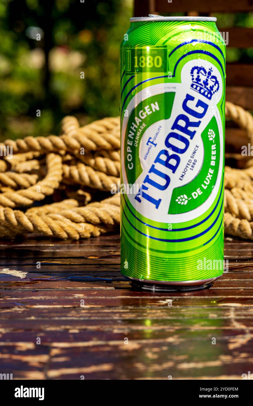 Tuborg beer can - condensation water droplets, outdoors background ...