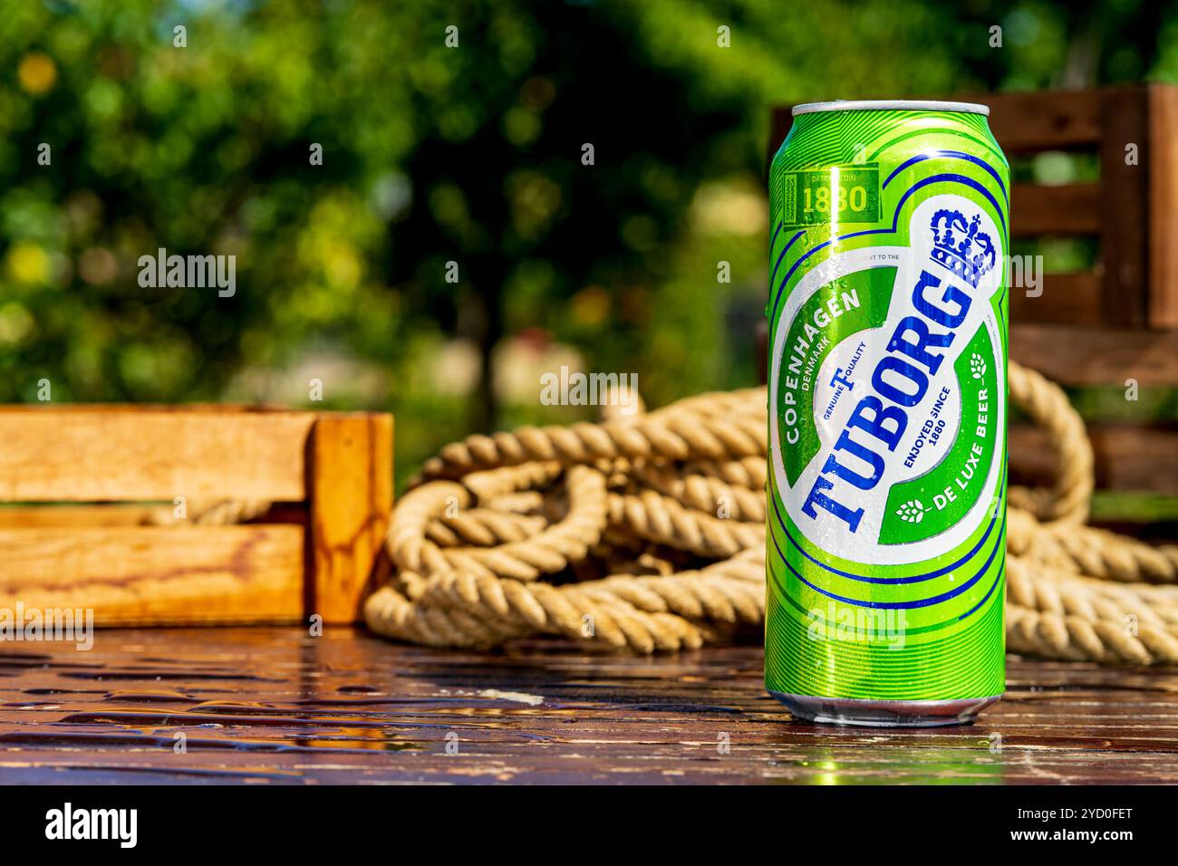 Tuborg beer can - condensation water droplets, outdoors background ...