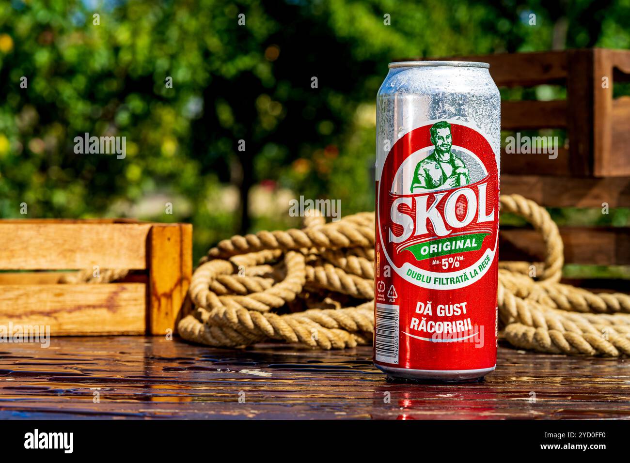 SKOL beer can - condensation water droplets, outdoors background Stock ...