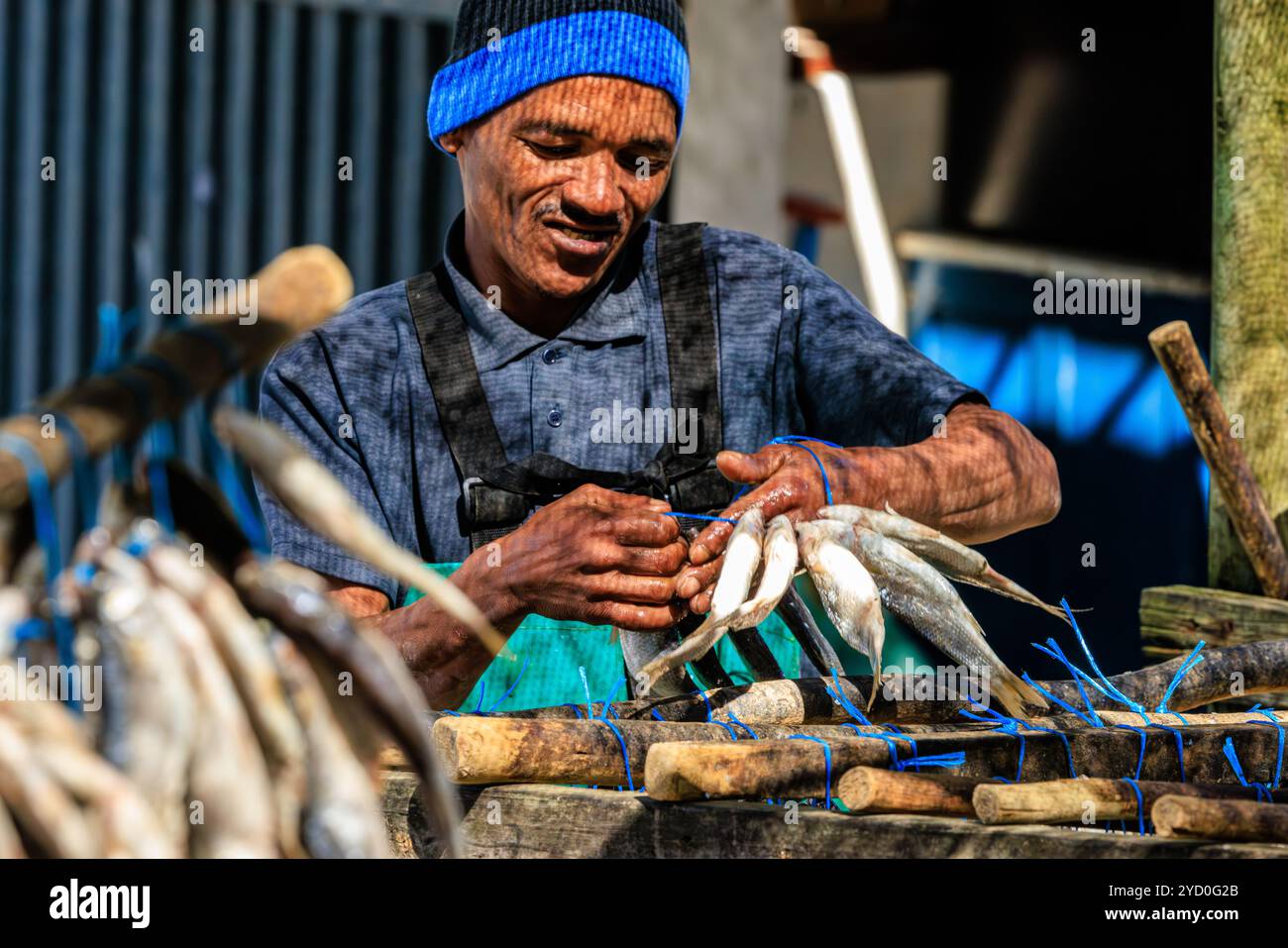 a fisherman in overalls tying dried whole fish into a bundle ready to ...