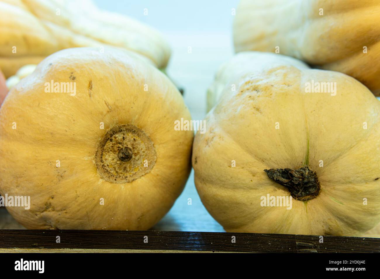 produce market seasonal season fresh harvest background farmers rustic ...