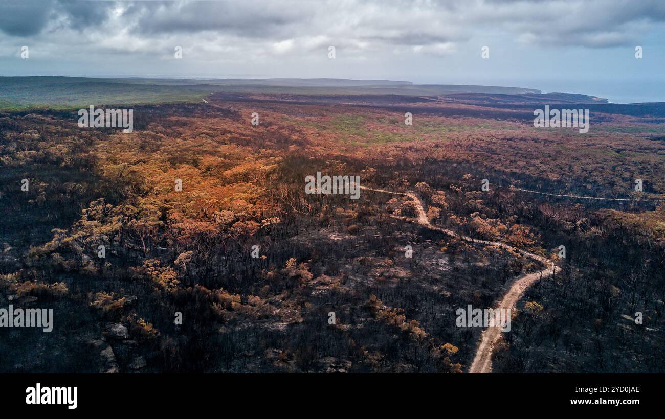 Australian bushfire damage hi-res stock photography and images - Alamy