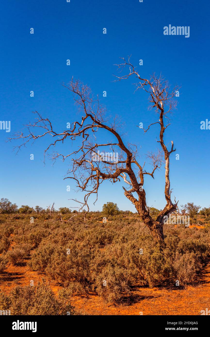 Backroads australia hi-res stock photography and images - Alamy