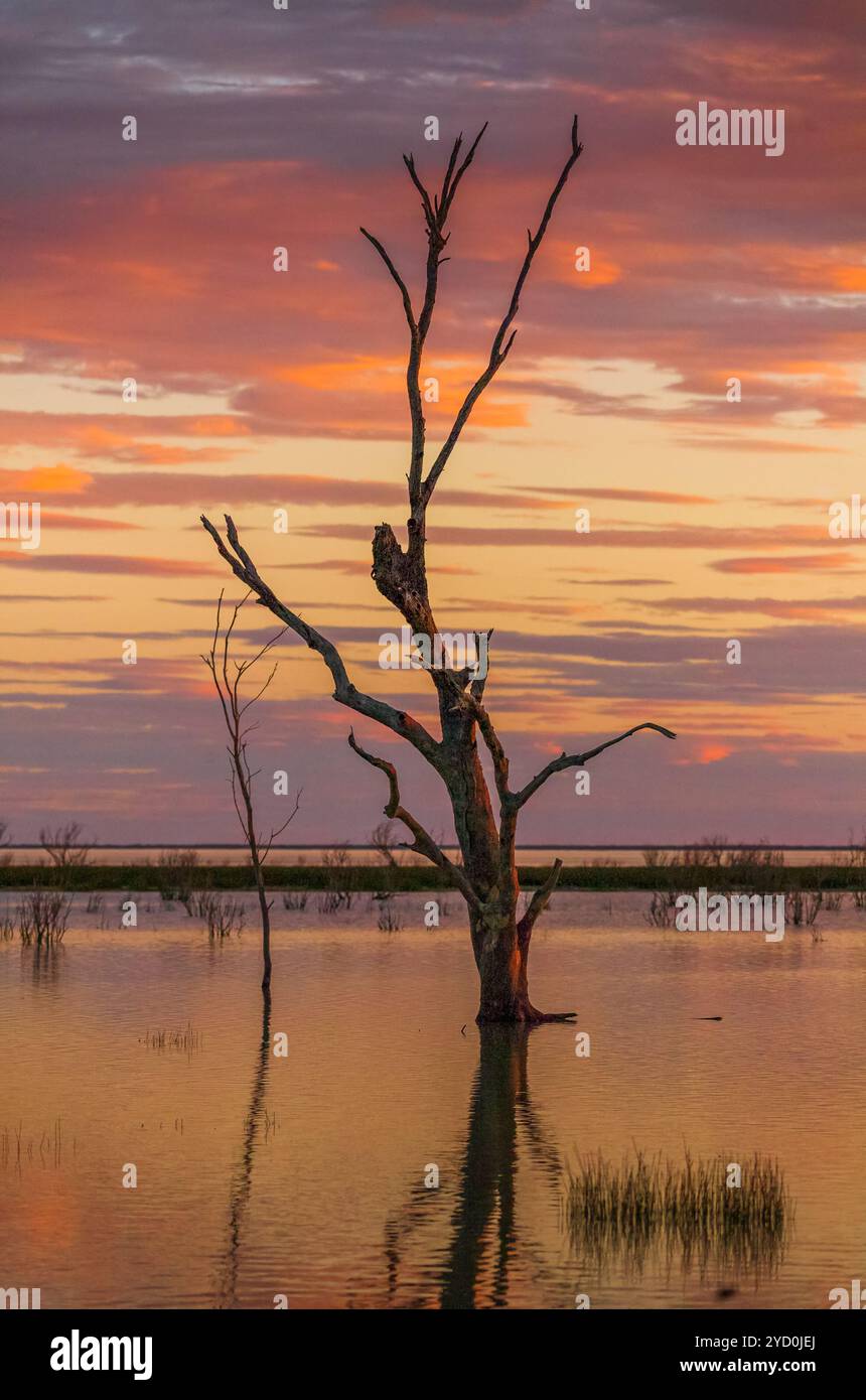 The many colours of an outback sunset viewed from Lake Menindee near ...