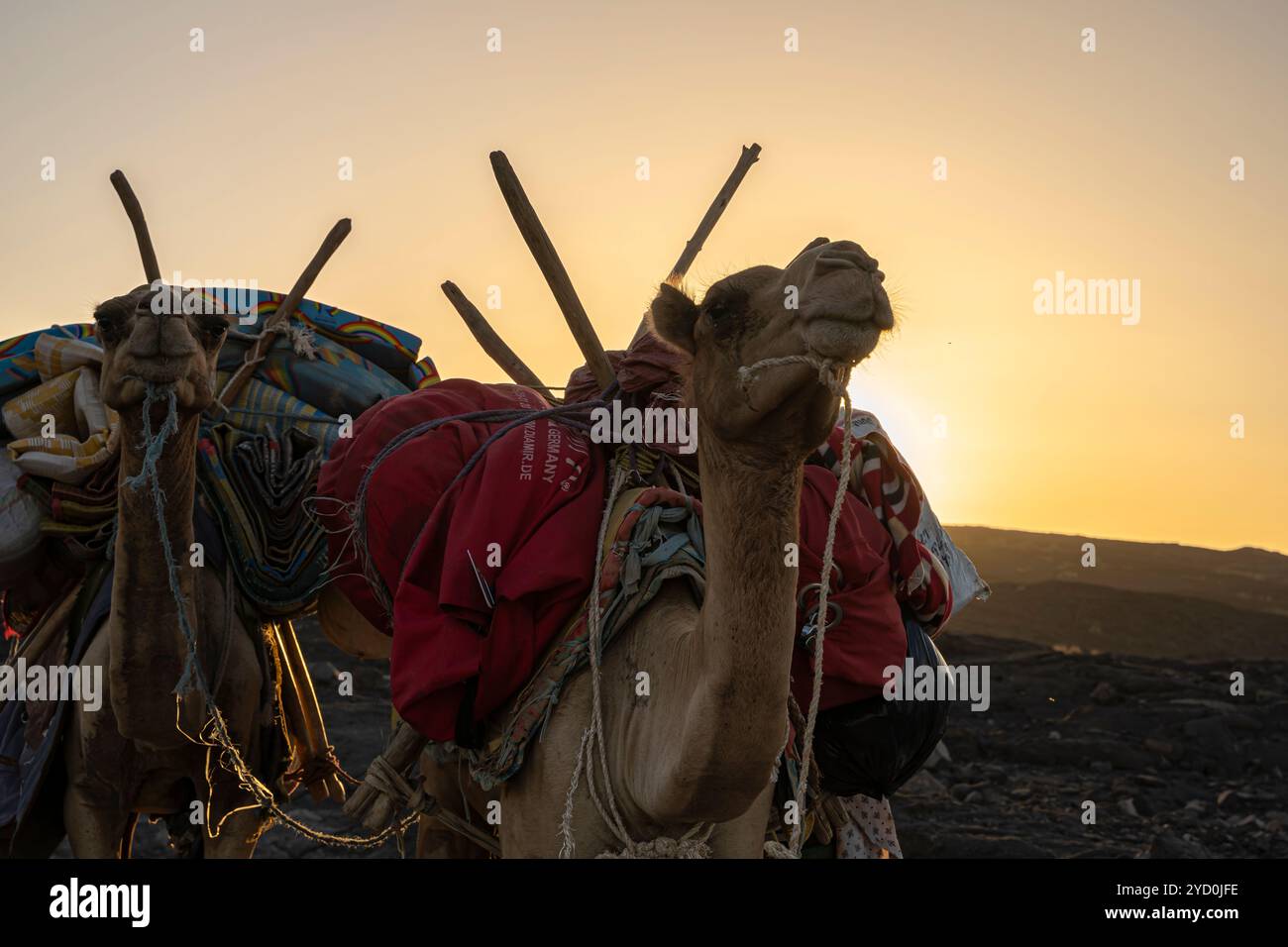 Vulcano erta ale hi-res stock photography and images - Alamy