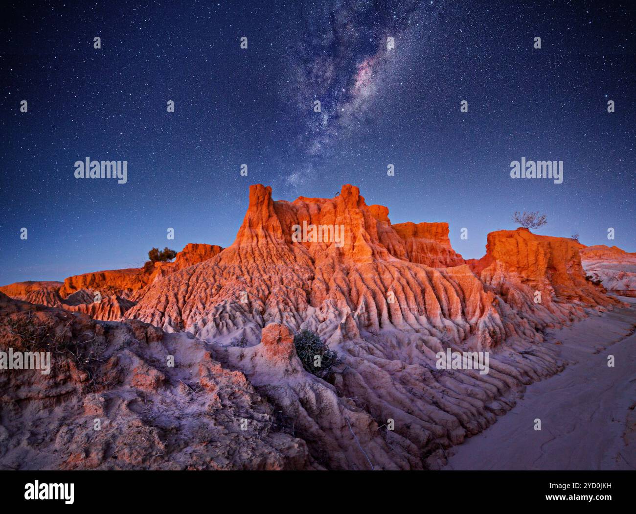 Starry skies over desert landscape Stock Photo - Alamy