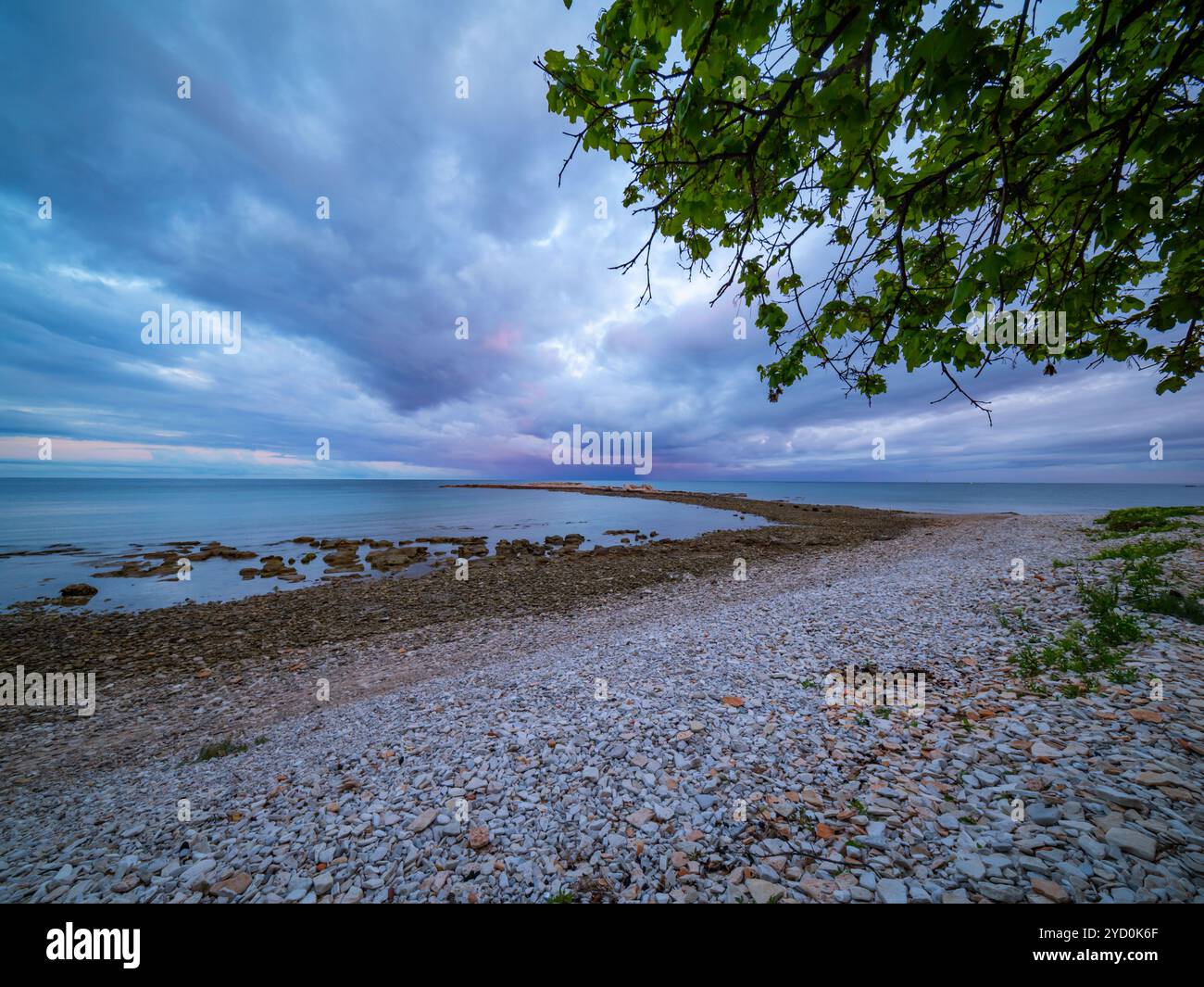 Sipar peninsula near Umag in Croatia Stock Photo - Alamy