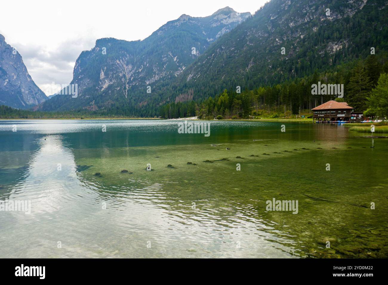 Landscape of Dobbiaco lake, Val Pusteria, Alto Adige, Italy, during a ...