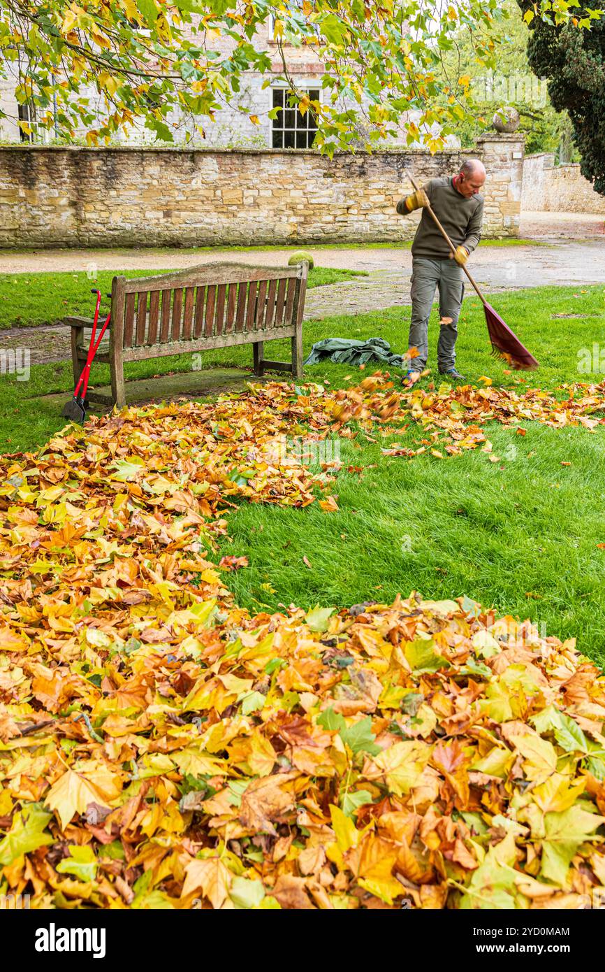 Sweeping autumn leaves hi-res stock photography and images - Alamy